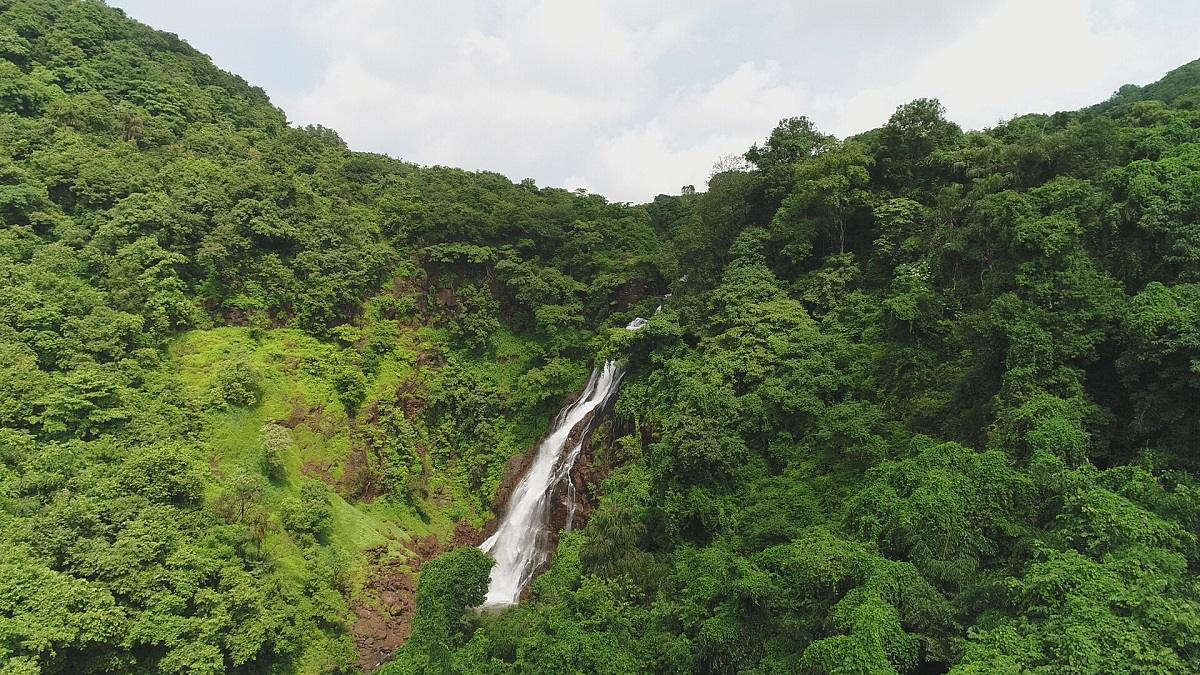 Bamankada / Dhamapur Waterfall – TravelKonkan.in