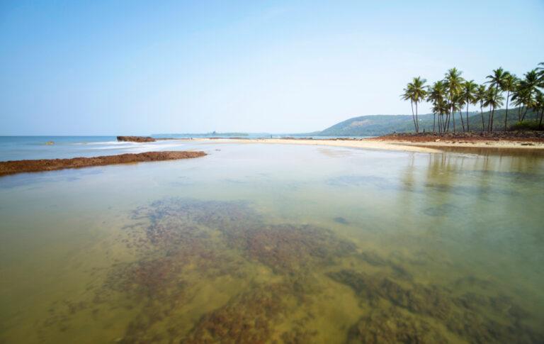 Bhogwe Beach – TravelKonkan.in
