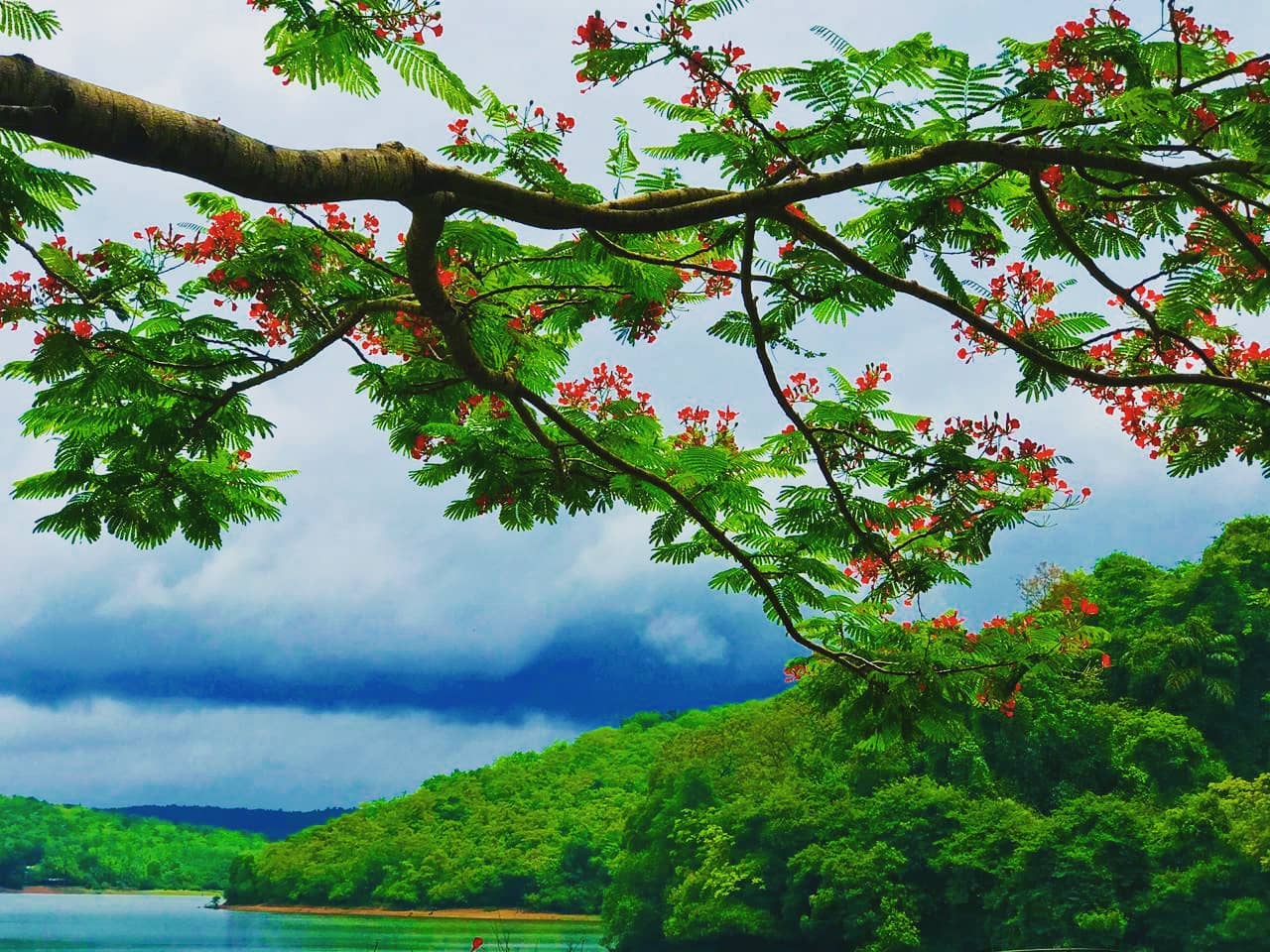 Dhamapur Lake – TravelKonkan.in