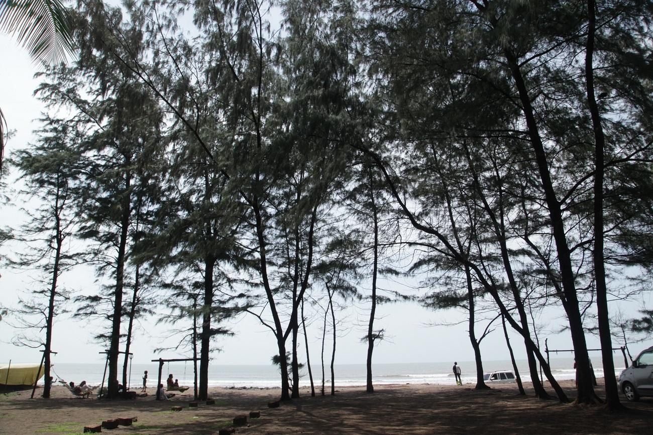 Murud Beach – TravelKonkan.in